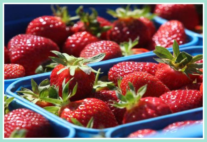 Šogad importa zemenes labāk neēst vispār!